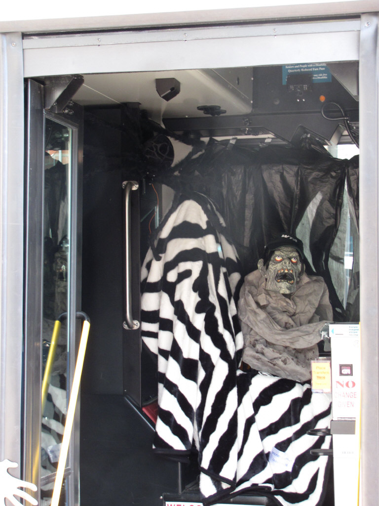 Editorials from Theslowlane: Scared to ride the bus?