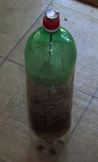 Home Biology: Soda Bottle Compost
