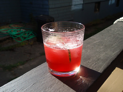 Raspberry Basil Collins Recipe | mostly foodstuffs