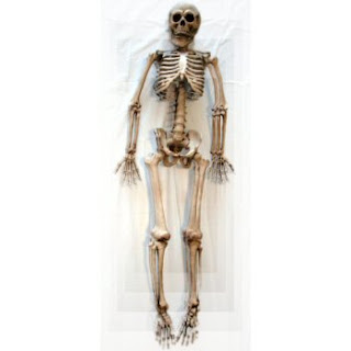 Billy Bogart: Bargain Basement Barney Skeleton