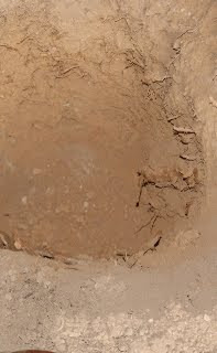 Caribbean Spirituality and Understanding in the Diaspora: Making "Chamba"