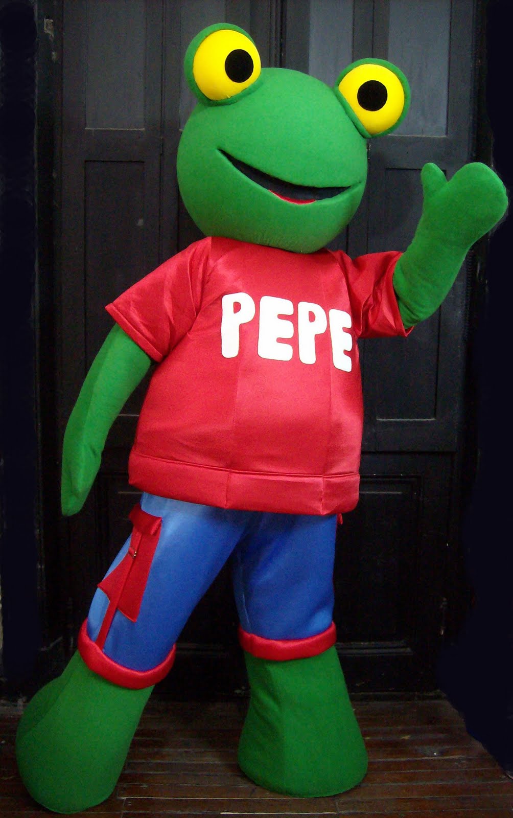 Disfraz del sapo pepe - Imagui