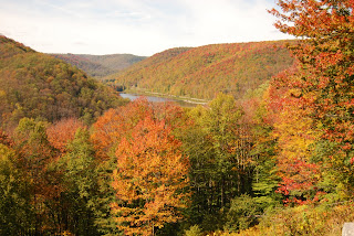 Photographs by Monica Mintz: Fall in Potter County, Pennsylvania