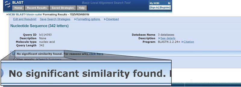 Imensidão Oculta: O Crânio de Starchild
