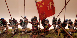 Land of the Lead: Montrose Scots- The Irish Brigade and Scots Lancers