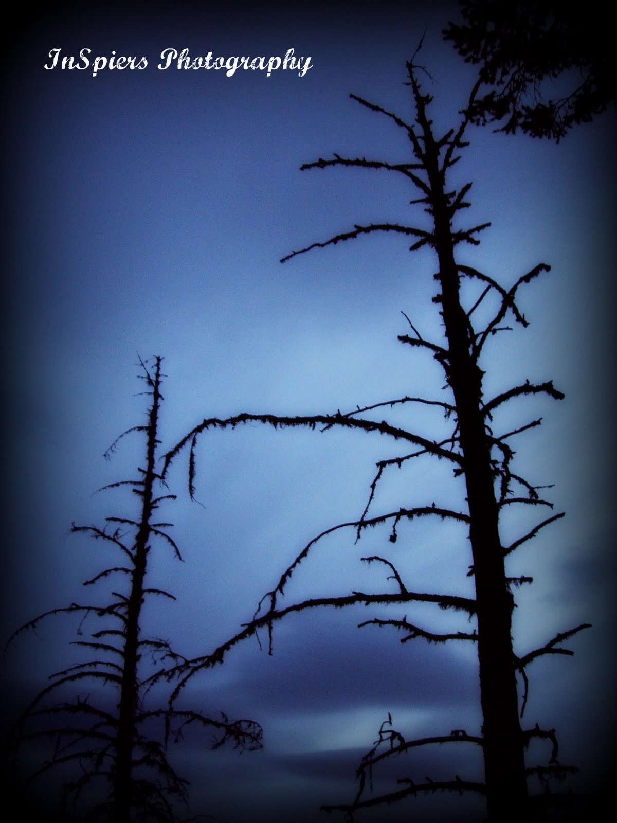 InSpiers Photography: Random Scenes 2010