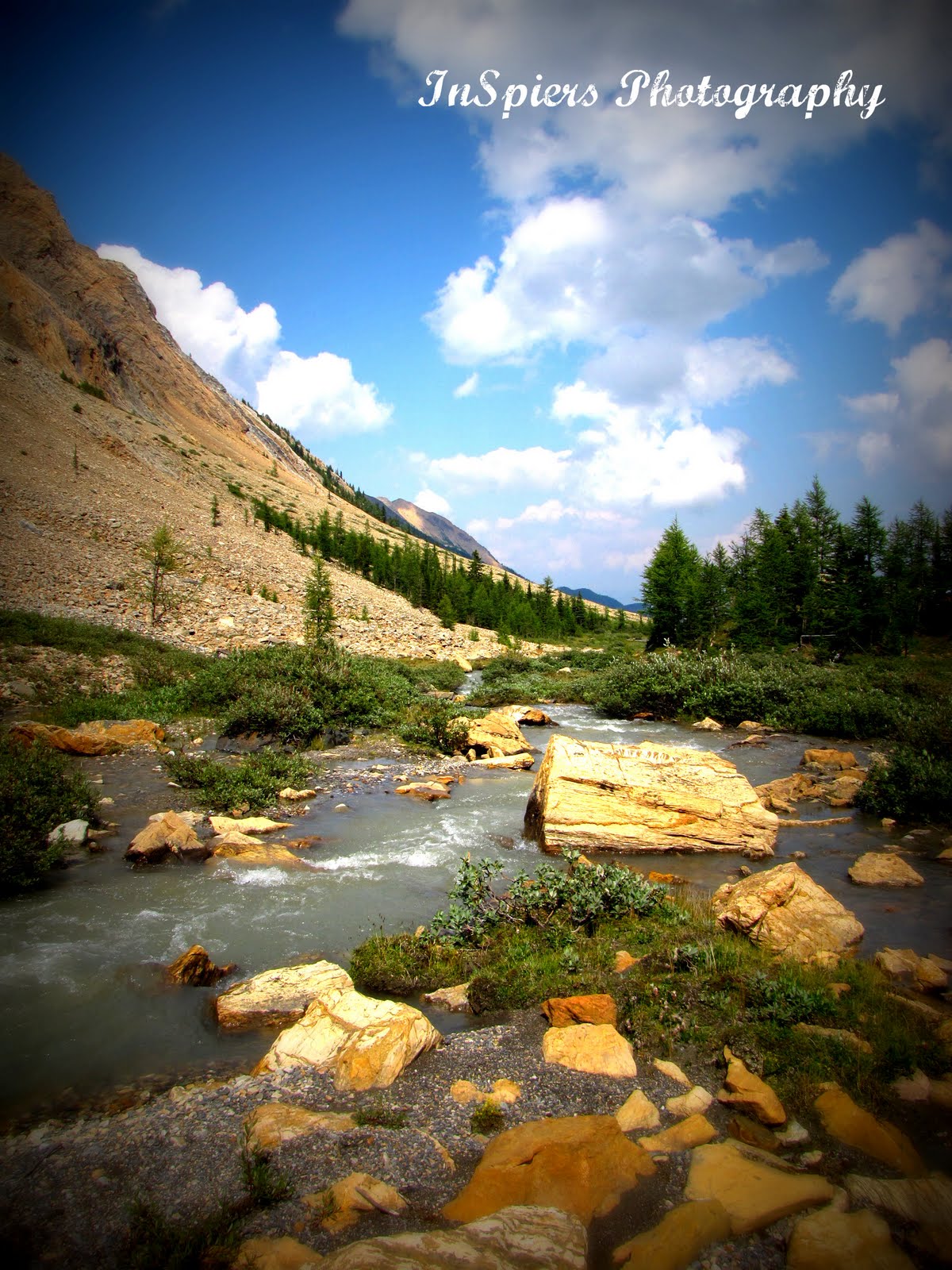 InSpiers Photography: Random Scenes 2010