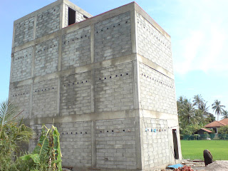 Swiftlet House Design Is The Key Of A Success In Swiftlet Farming: New ...