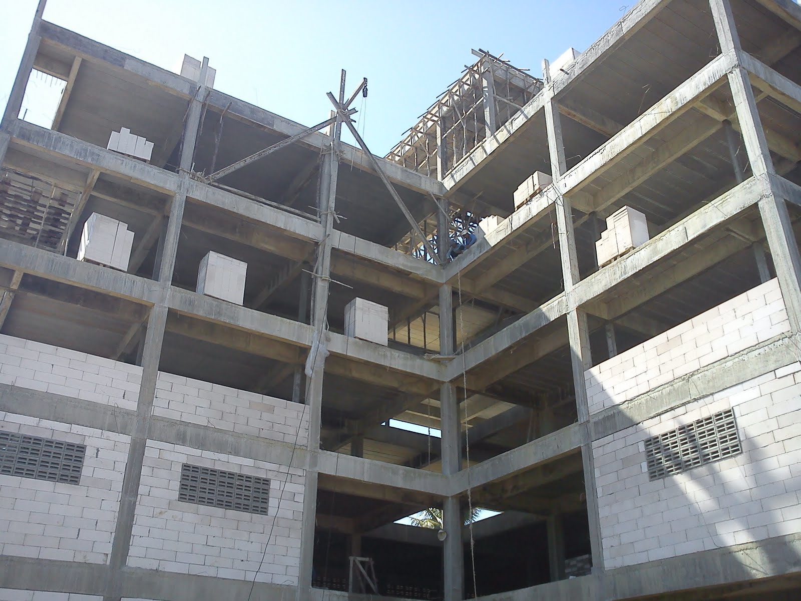 Swiftlet House Design Is The Key Of A Success In Swiftlet Farming ...