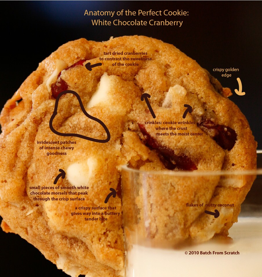 batch from scratch: Anatomy of the Perfect Cookie