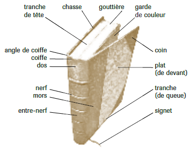 Scribinfo: Un peu de vocabulaire