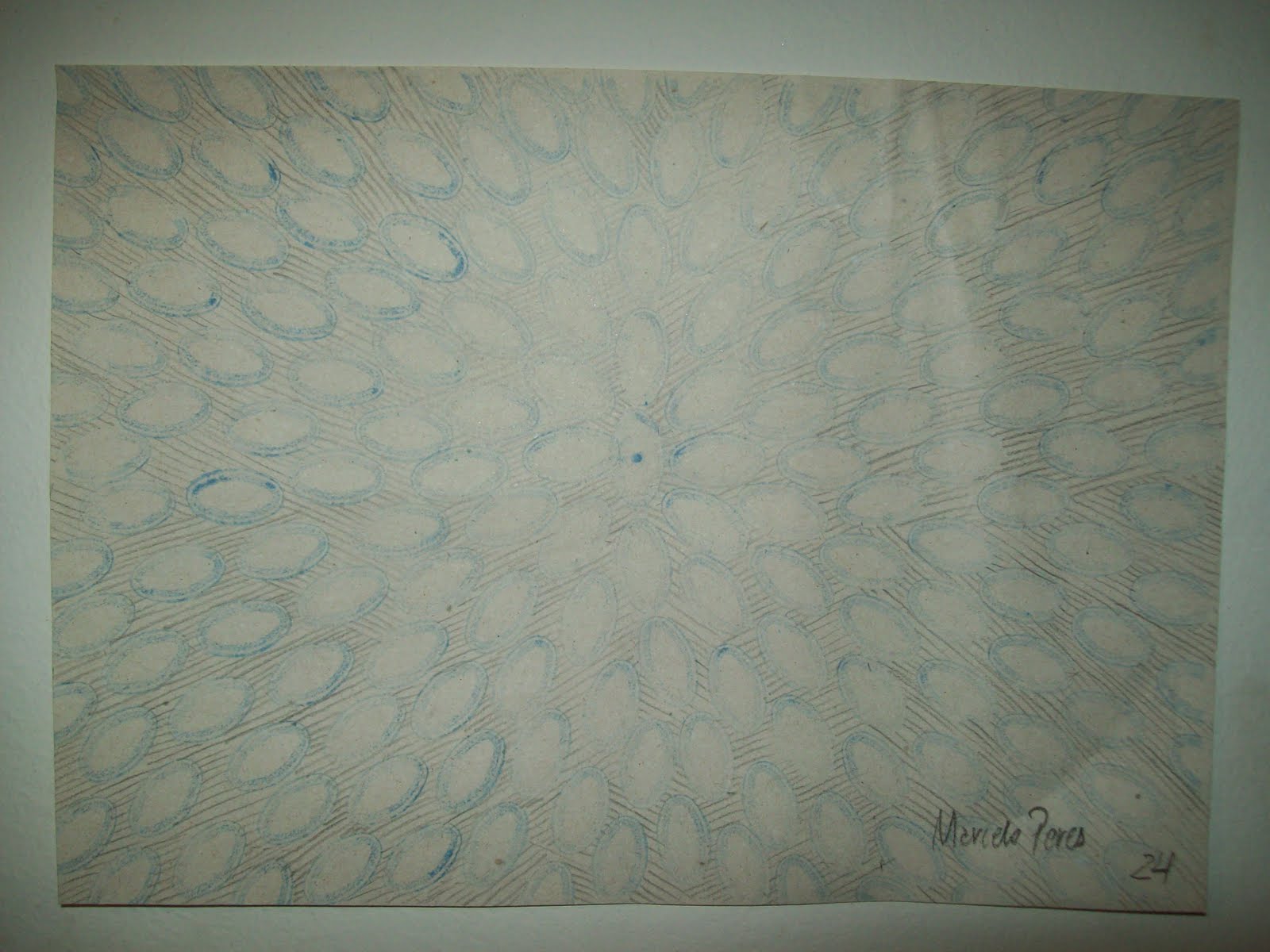 MARCELO PERES ® : MUSA