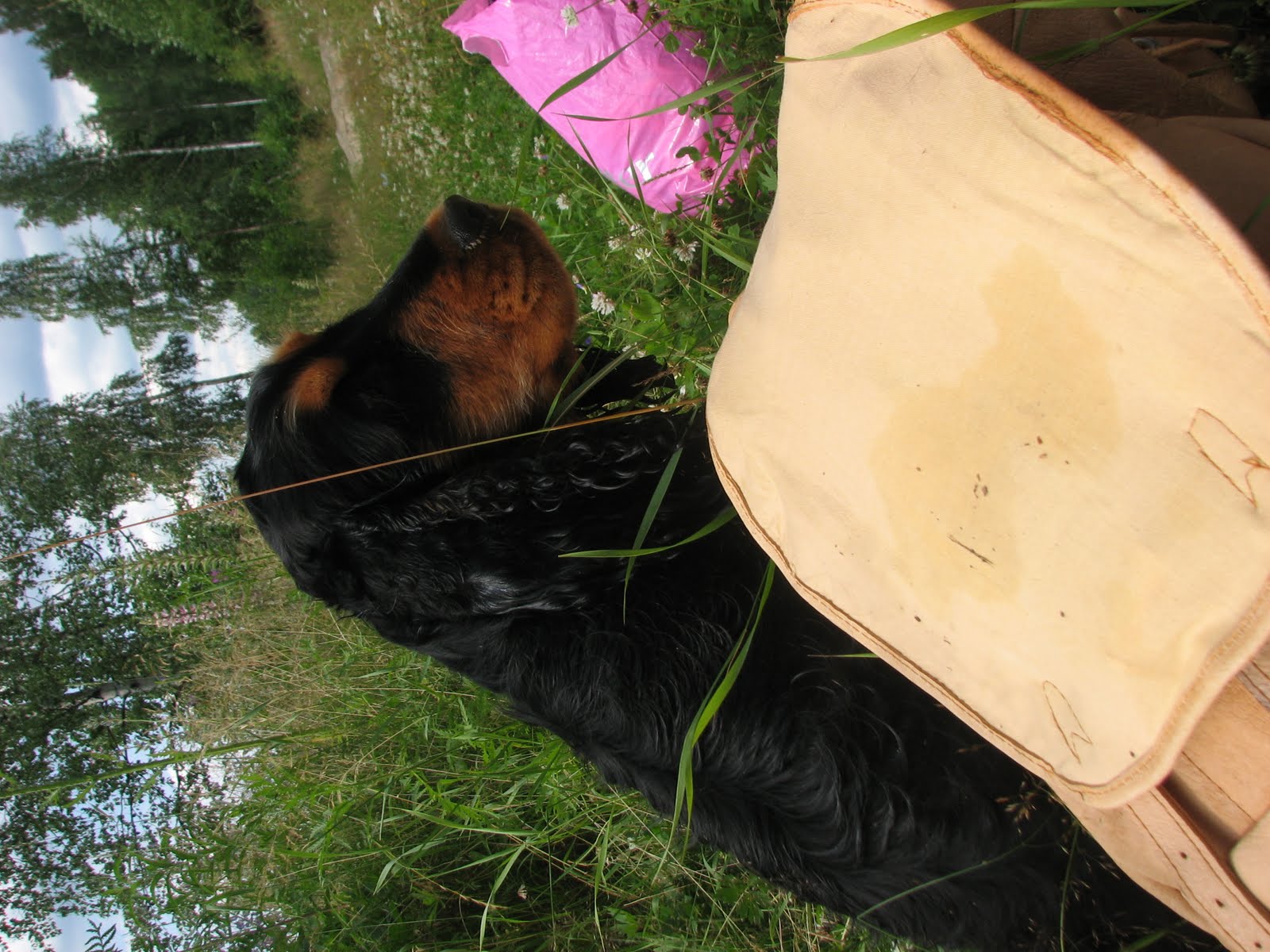 en stor pillerill och ett litet troll