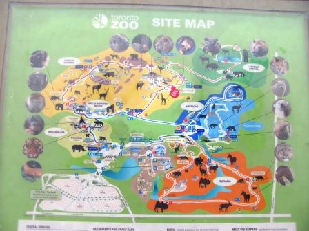 Teena in Toronto: Toronto Zoo