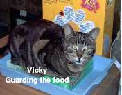 Cats In Crisis Bamber Bridge: Newsletter No, 66 November 2008