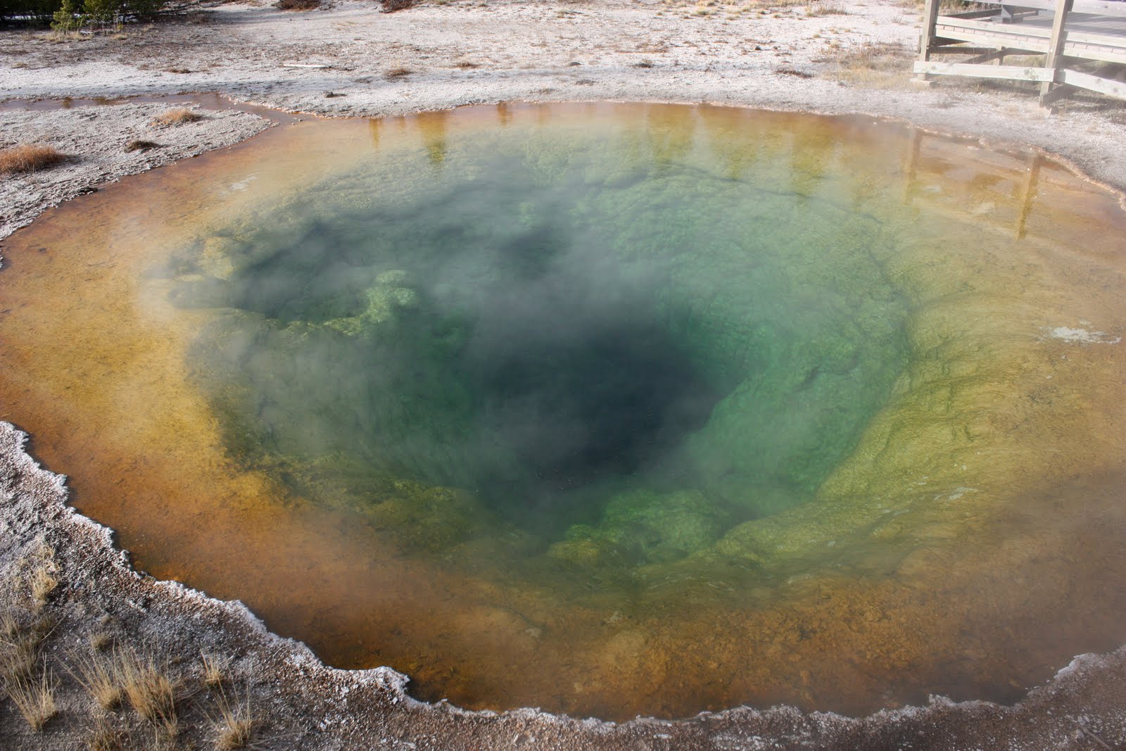 Binkelian Trek Trax: National Park #2 - Yellowstone
