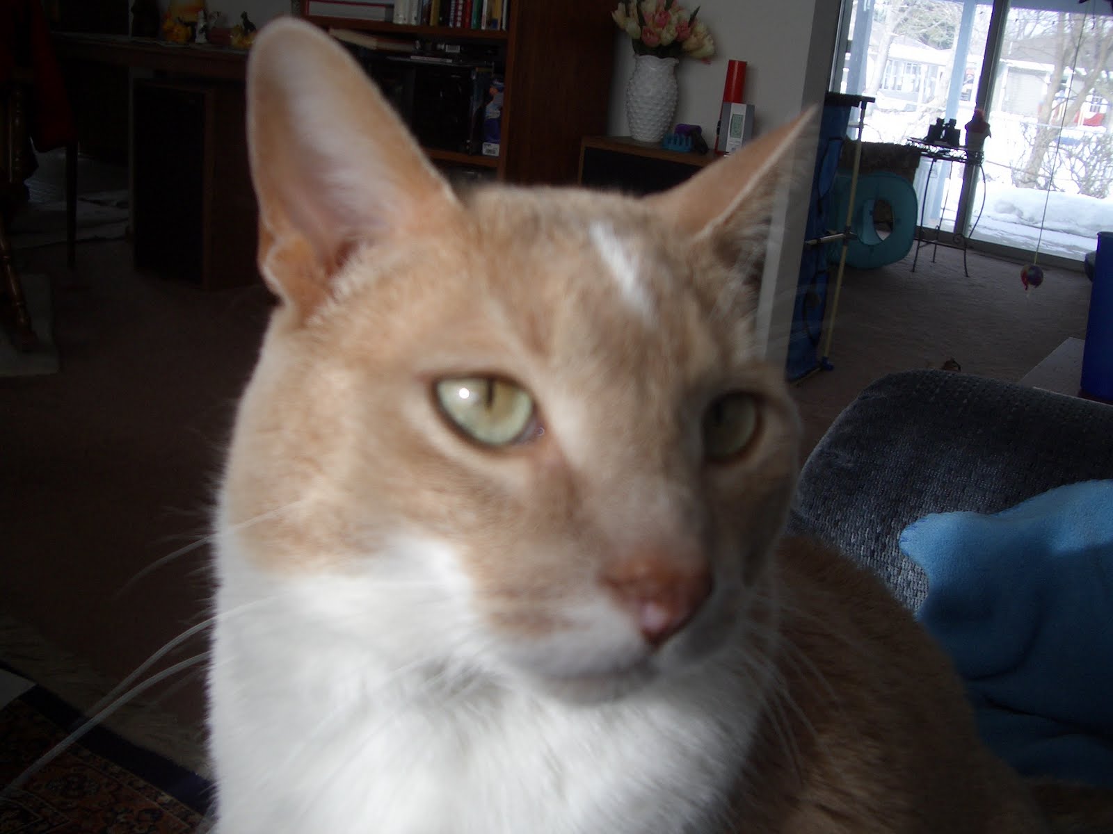 JUST DUCKY!: September 2010