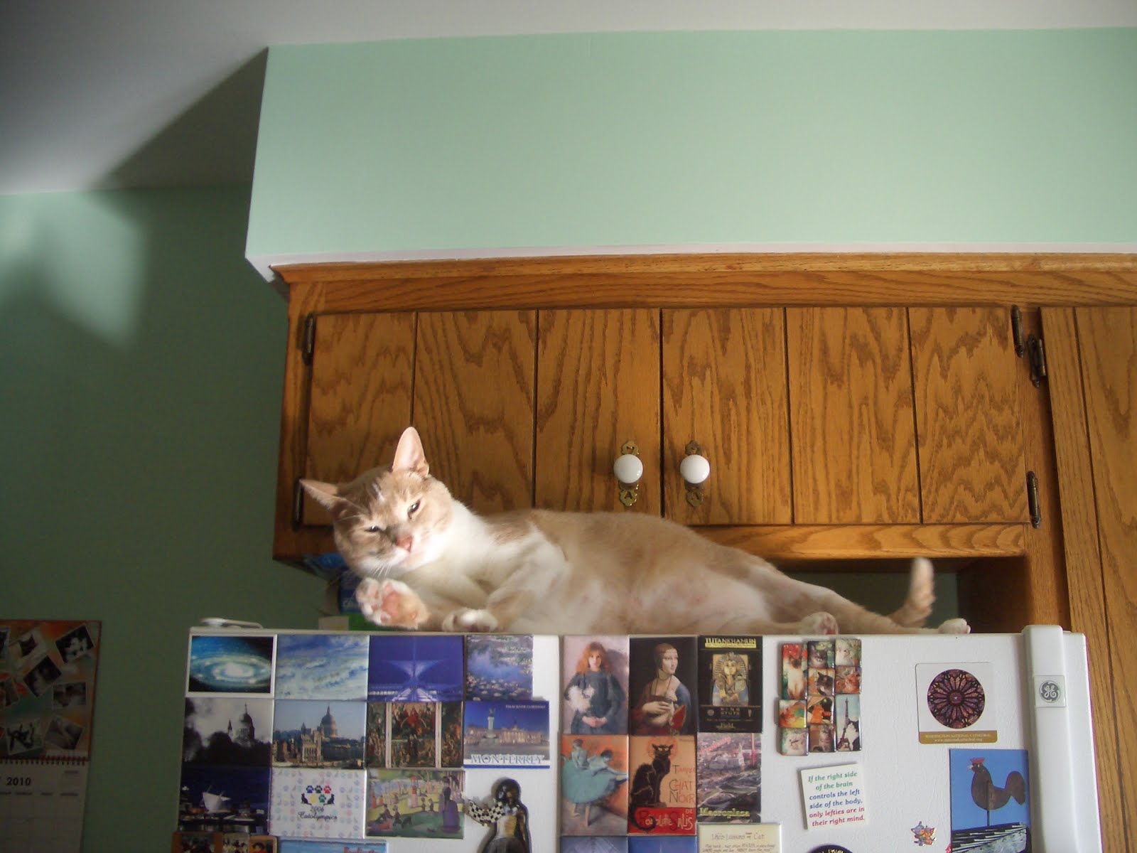 JUST DUCKY!: September 2010