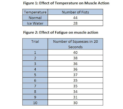 Human Bio 156: Unit 3, Online Lab #2: Muscle Function