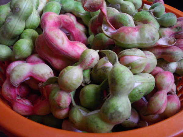 Redlan's Web Of Arts: THE COUNTRYSIDE