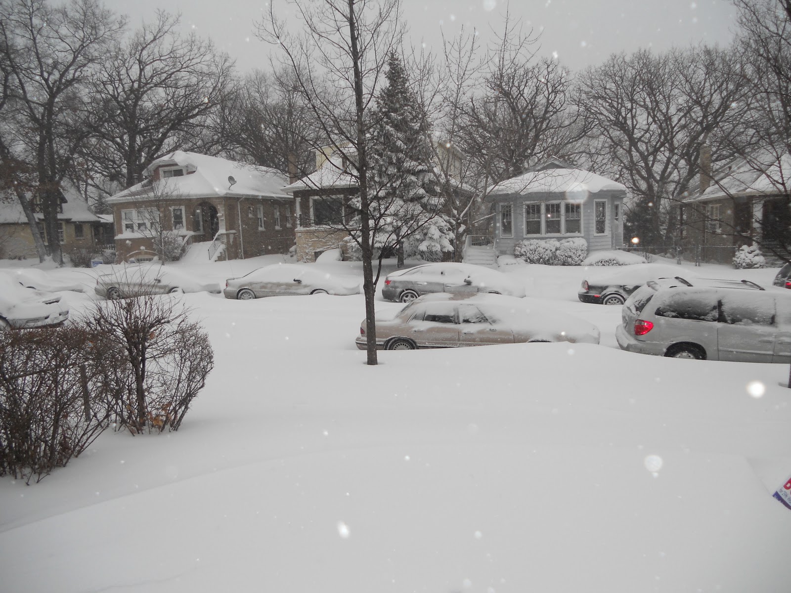 A Place Call Home: Chicago Blizzard 2011