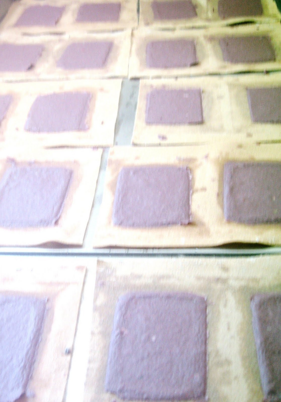 Zero Waste Home: Paper Making