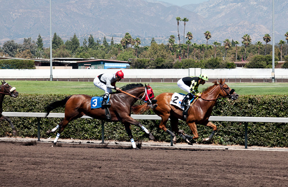 Sunday Road Trip - Los Angeles County Fair