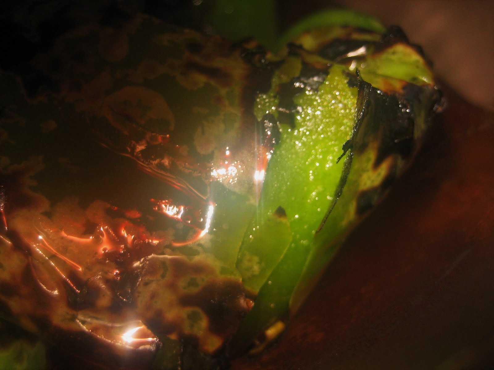 Chef Tess Bakeresse: How to Roast and Peel a Chile Pepper 101