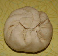 Chinese Meat and Vegetable Buns recipe | Mother Nature Says