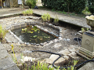 Ponds - Casterbridge Fisheries Ltd