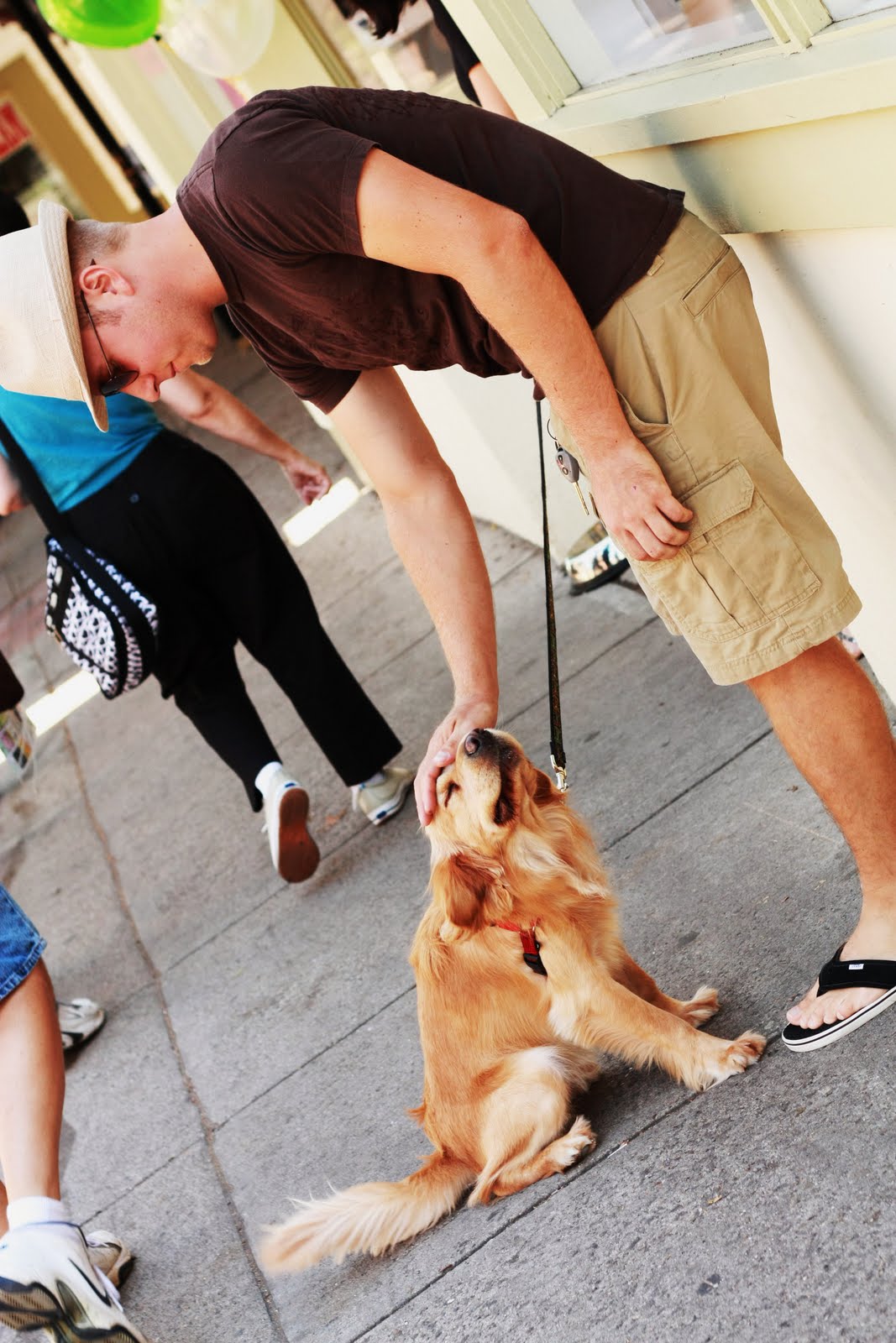 The Miseducation of Nik-Cole