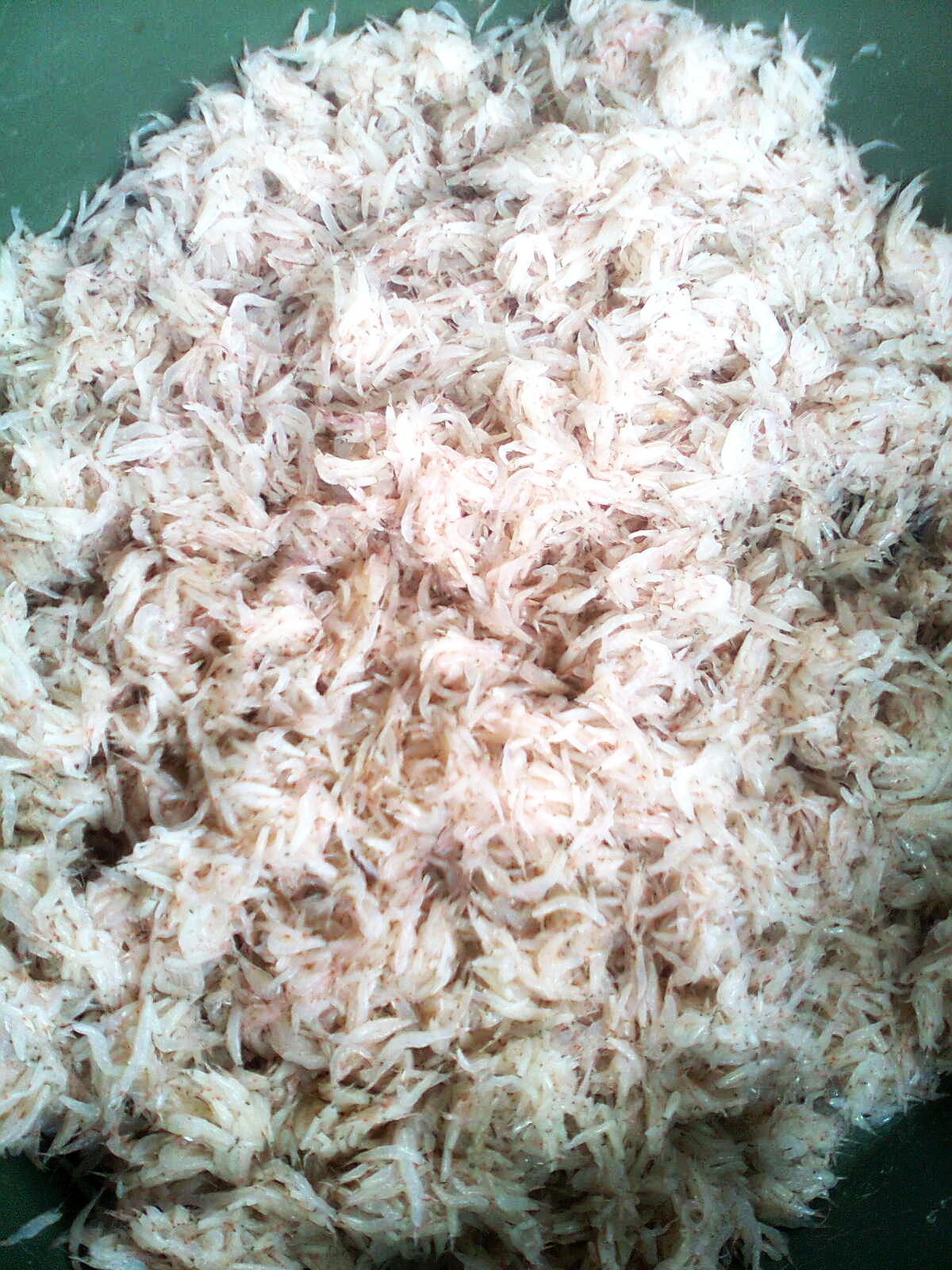 bila rasa disayangi, rasa nak hidup seribu tahun lagi ..::: Cara-cara ...