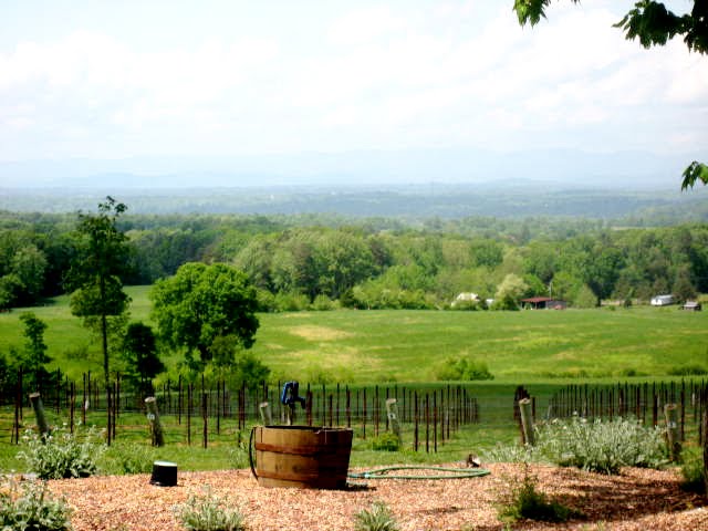 Travel With Whippets: Yadkin Valley Winery Tour + Harvest Host Tryout