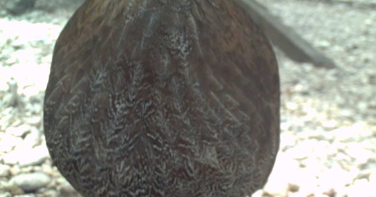 Traveling Morion | Travel + Photography: Morion's PhotoGallery 101 ...