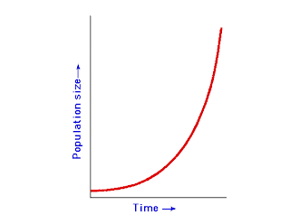 BIOL 1404 (McG's Part) 2013: Population Biology 2. Exponential Growth