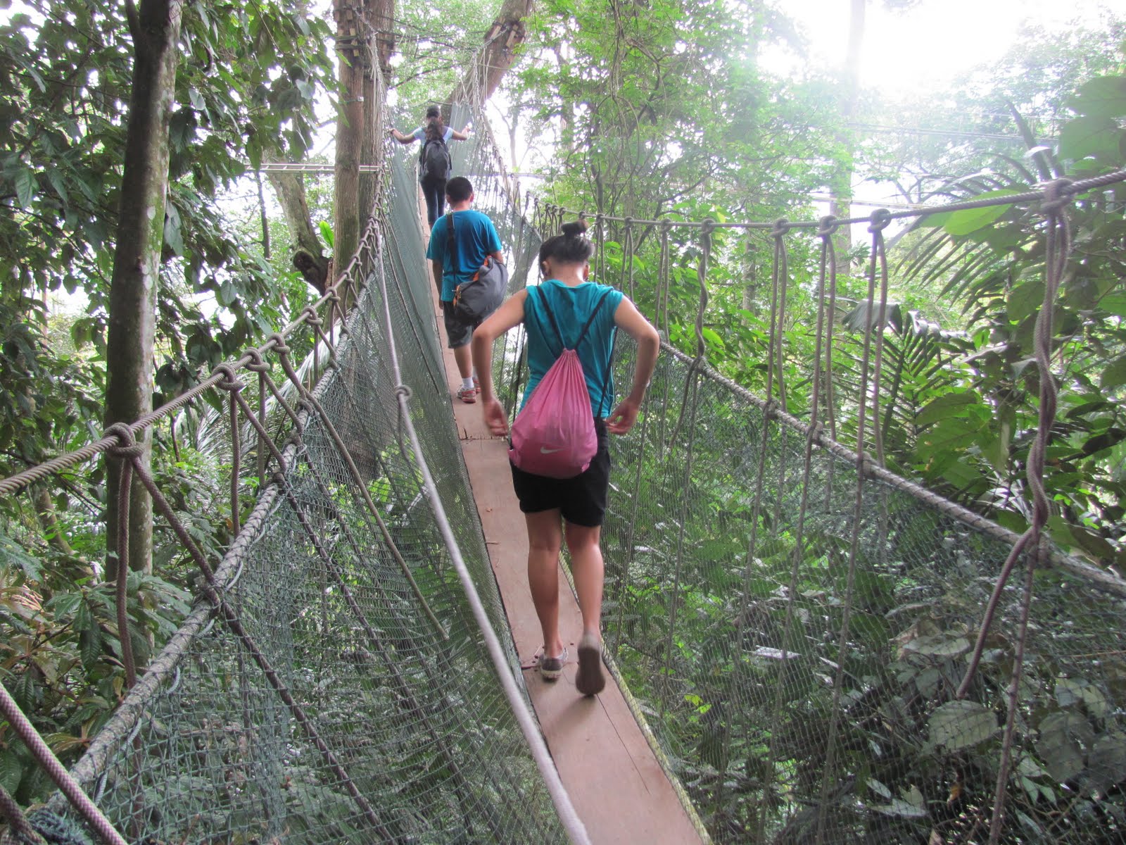 Mark McGinley's Fulbright in Malaysia: Field Trip to FRIM: The Canopy Walk