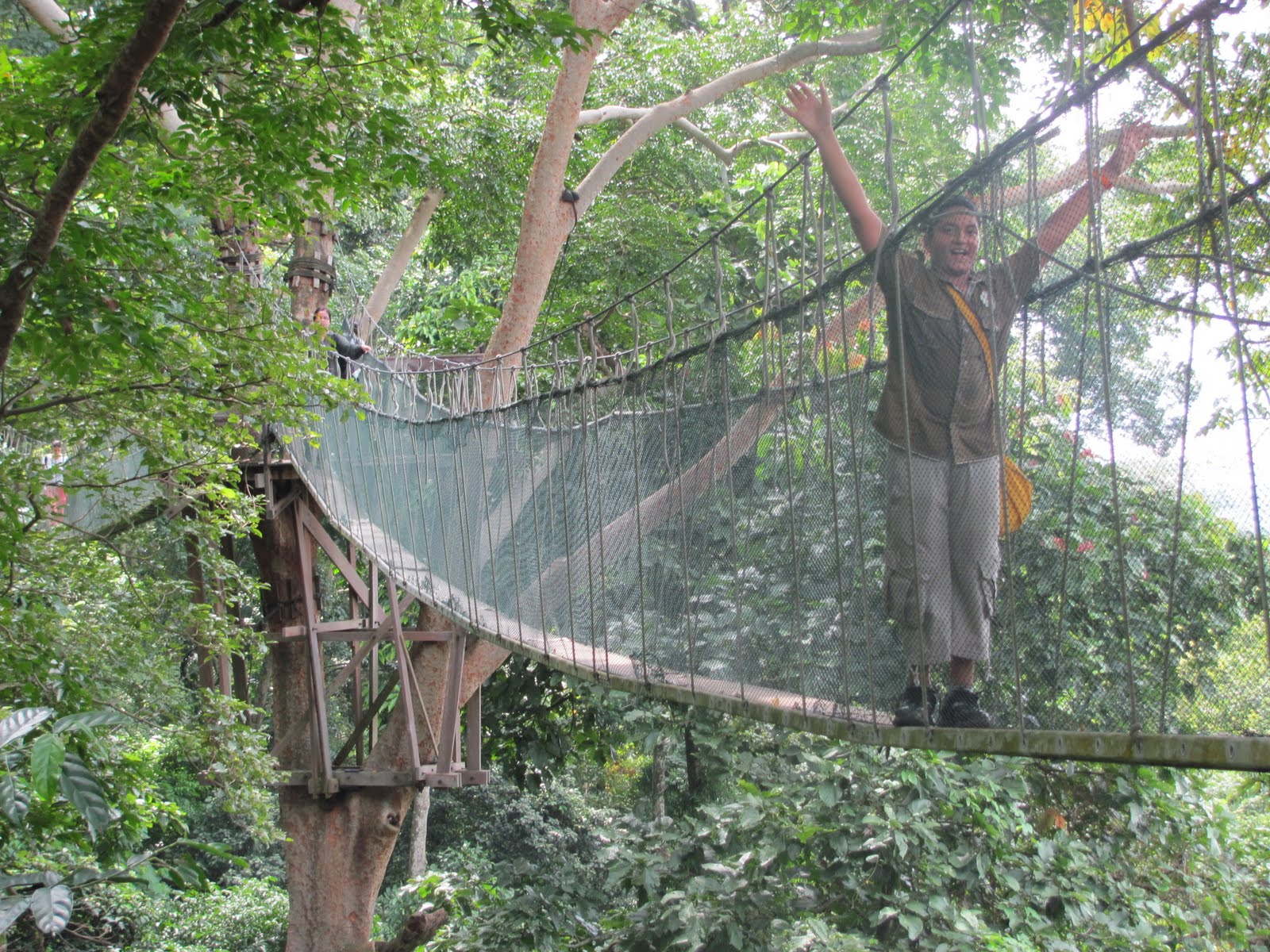Mark McGinley's Fulbright in Malaysia: Field Trip to FRIM: The Canopy Walk