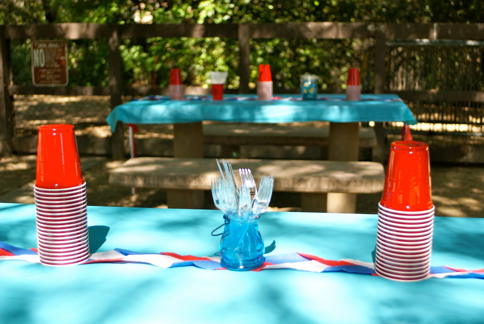 Brilliantly Beautiful Events: Brilliant DIY: RED, WHITE and BLUE picnic ...