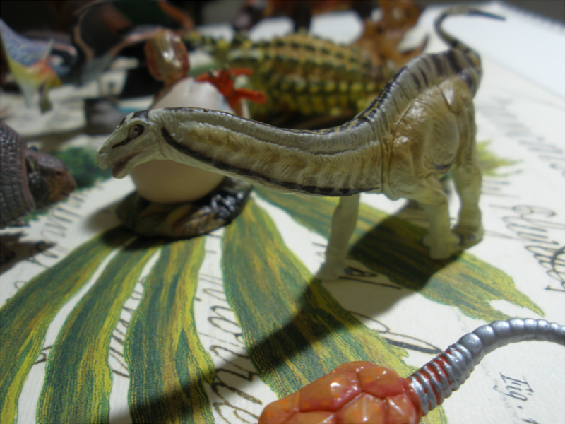 Symbion pandora: Let's Build Some Kaiyodos!