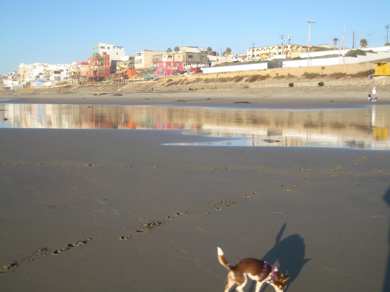 Tijuana Bible: Low tide/La marea baja Playas de Tijuana