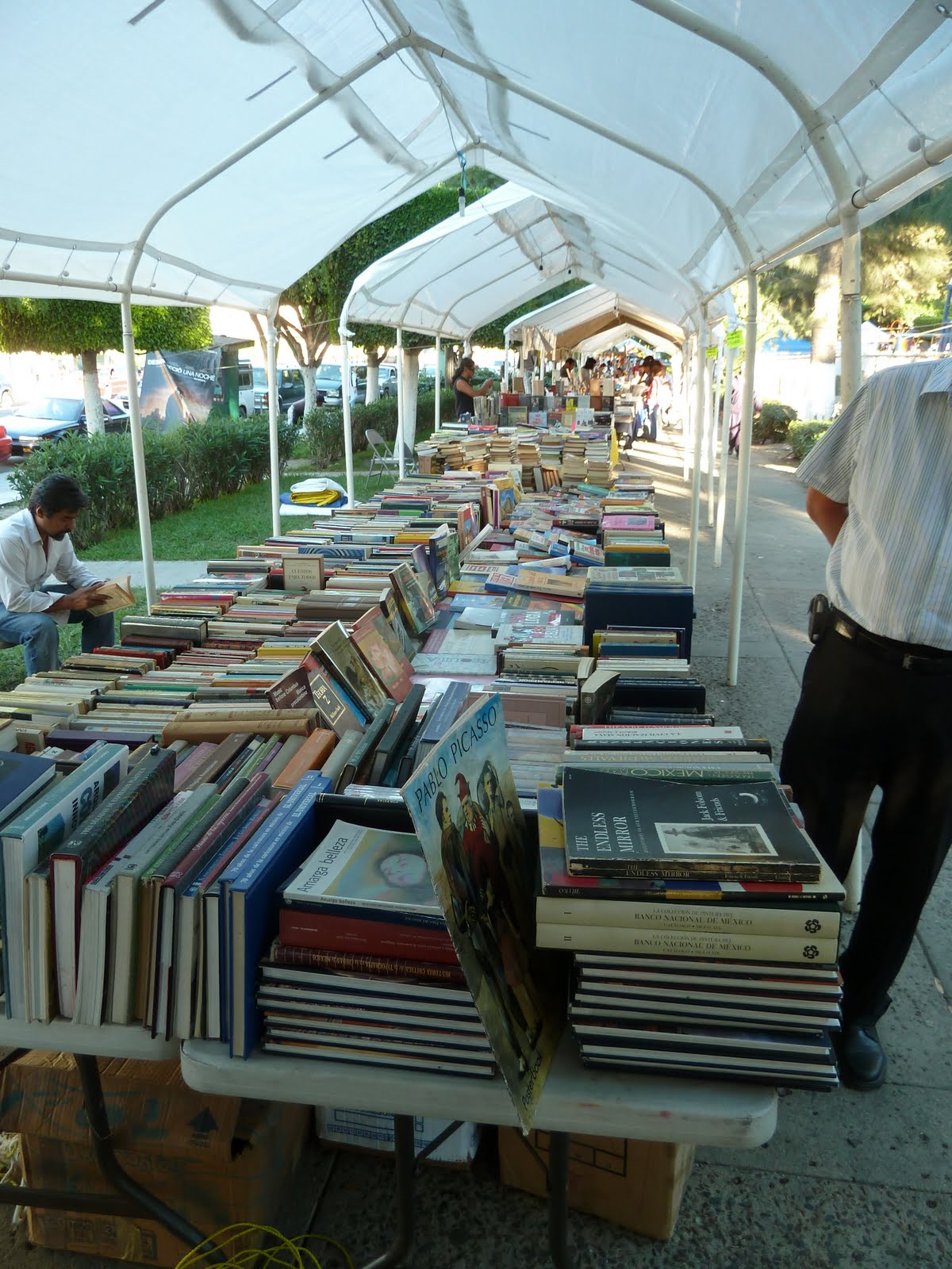 Tijuana Bible: Tijuana Used Book Fair/Feria de libros usados