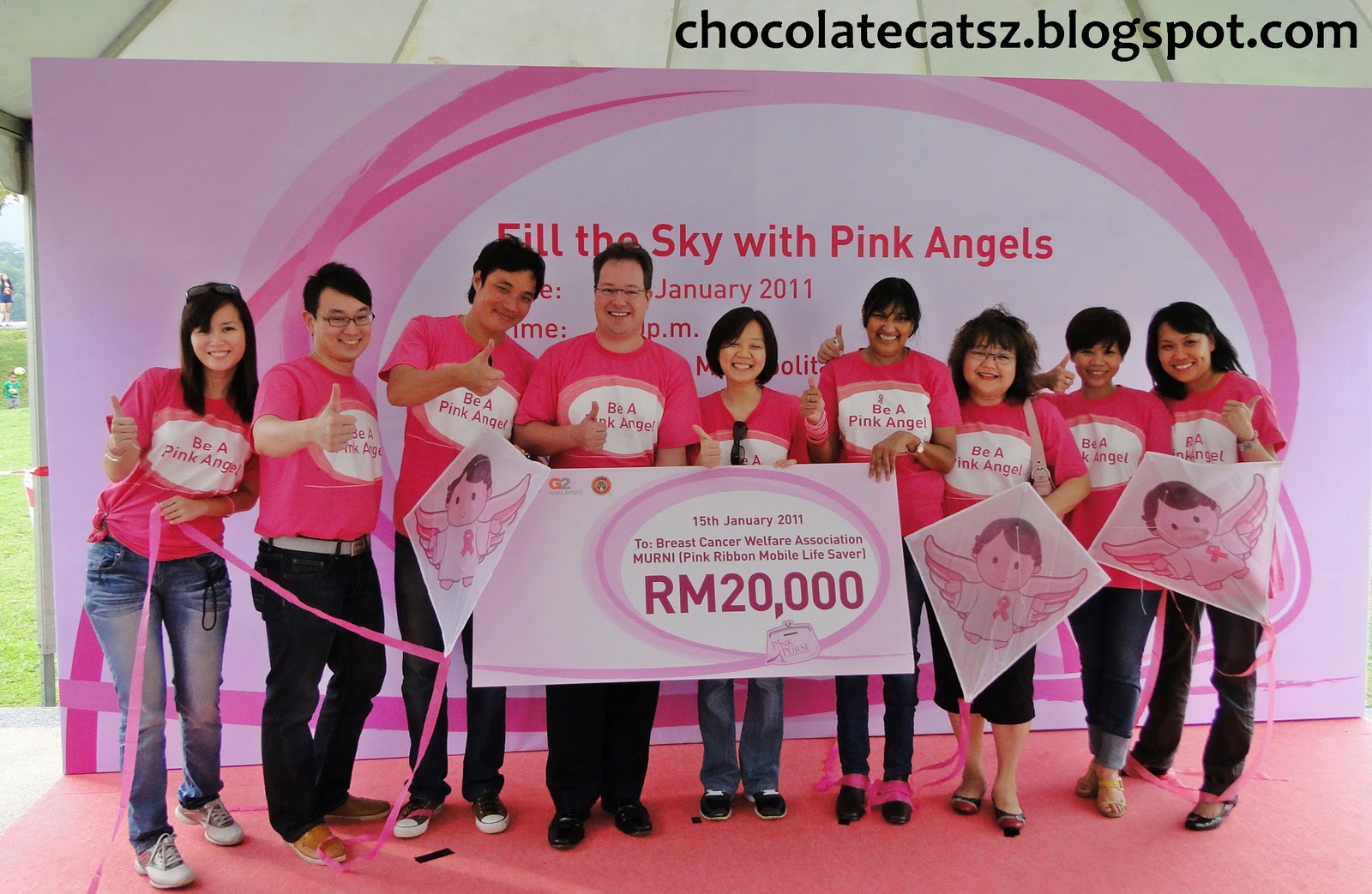 Chocolate Cats: BCWA's Be A Pink Angel