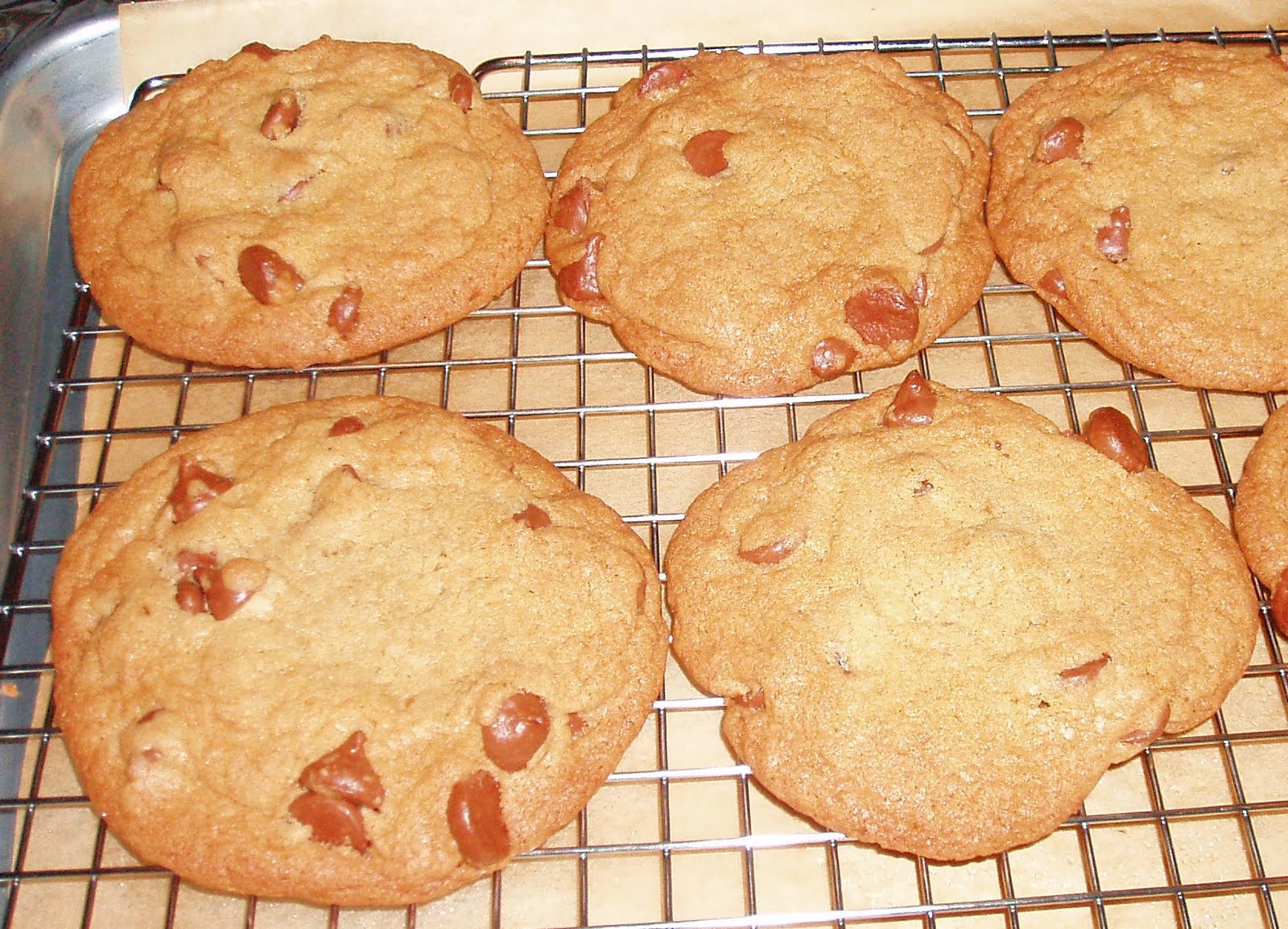 The Pastry Chef's Baking: Best Big Fat Chewy Chocolate Chip Cookies