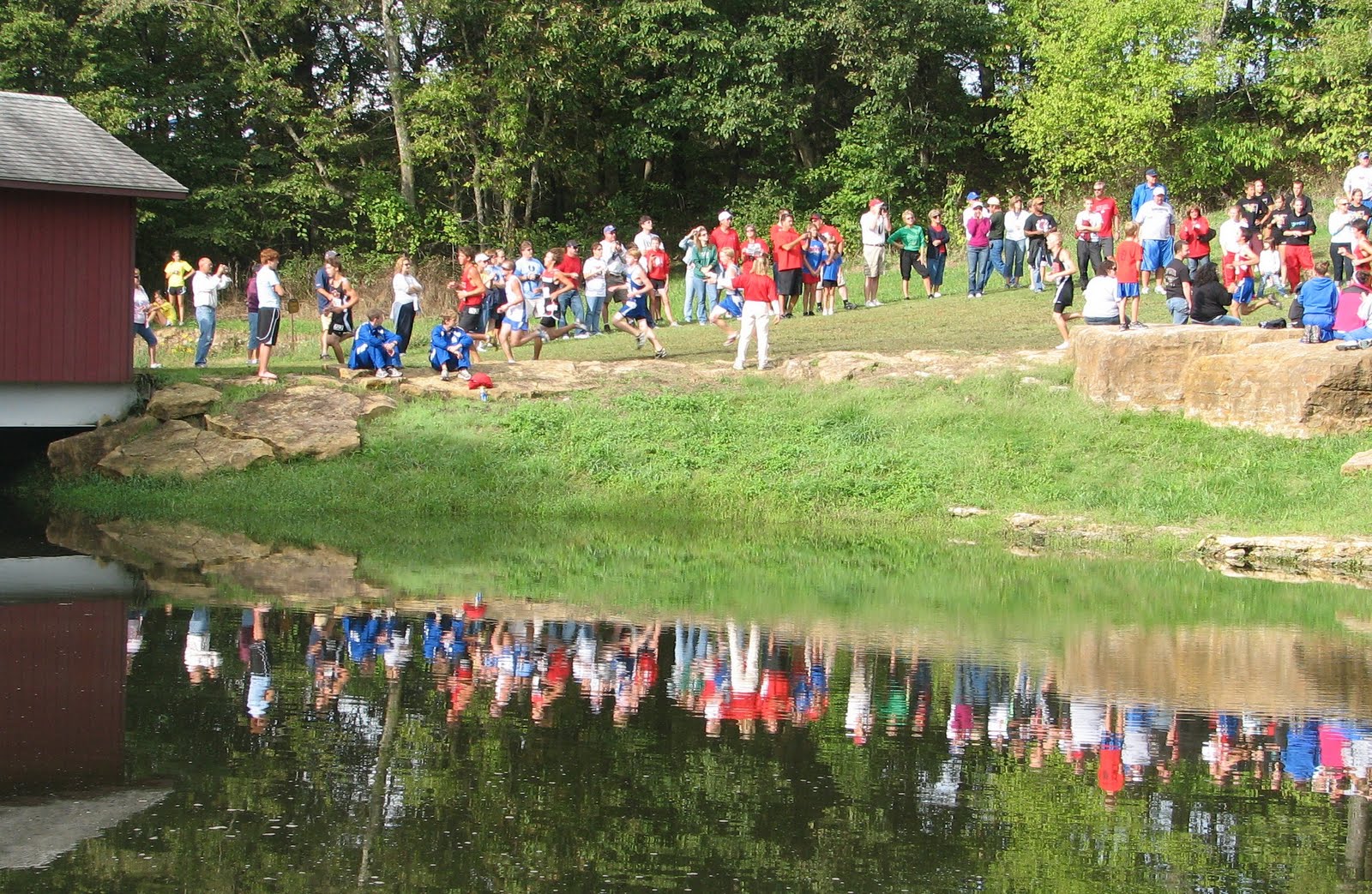 Premeditated Living: Harriers and Rim Rock Farm