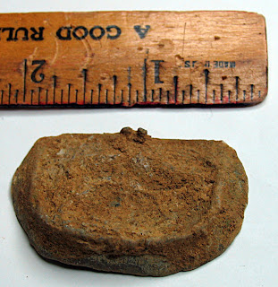 Louisville Fossils and Beyond: Leptaena Brachiopod