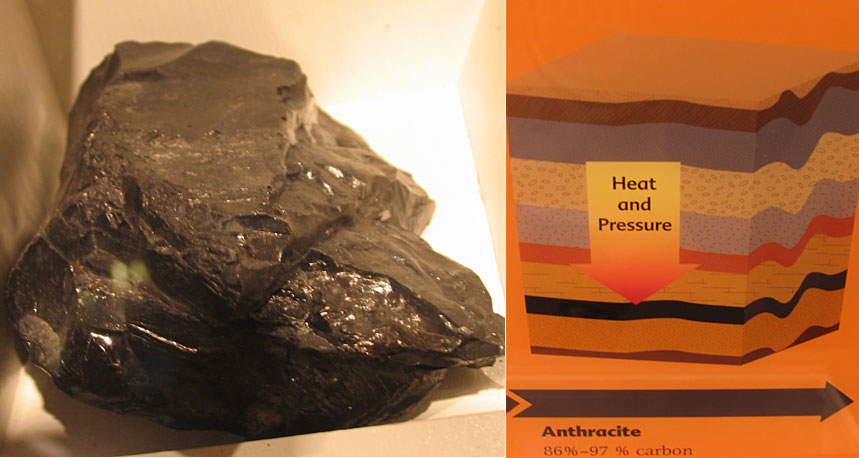Louisville Fossils and Beyond: Coal Display - Louisville Science Center
