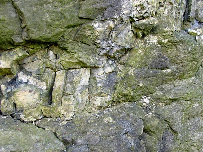 Louisville Fossils and Beyond: Devonian-Silurian Paraconformity