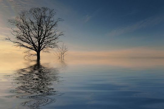 Angel's Secret Garden: 50 Most Stunning & Impressive Reflection Photography