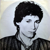 VINYL GOLDMINE - Lost New Wave & Power Pop Gems: DAVID WERNER - Self ...