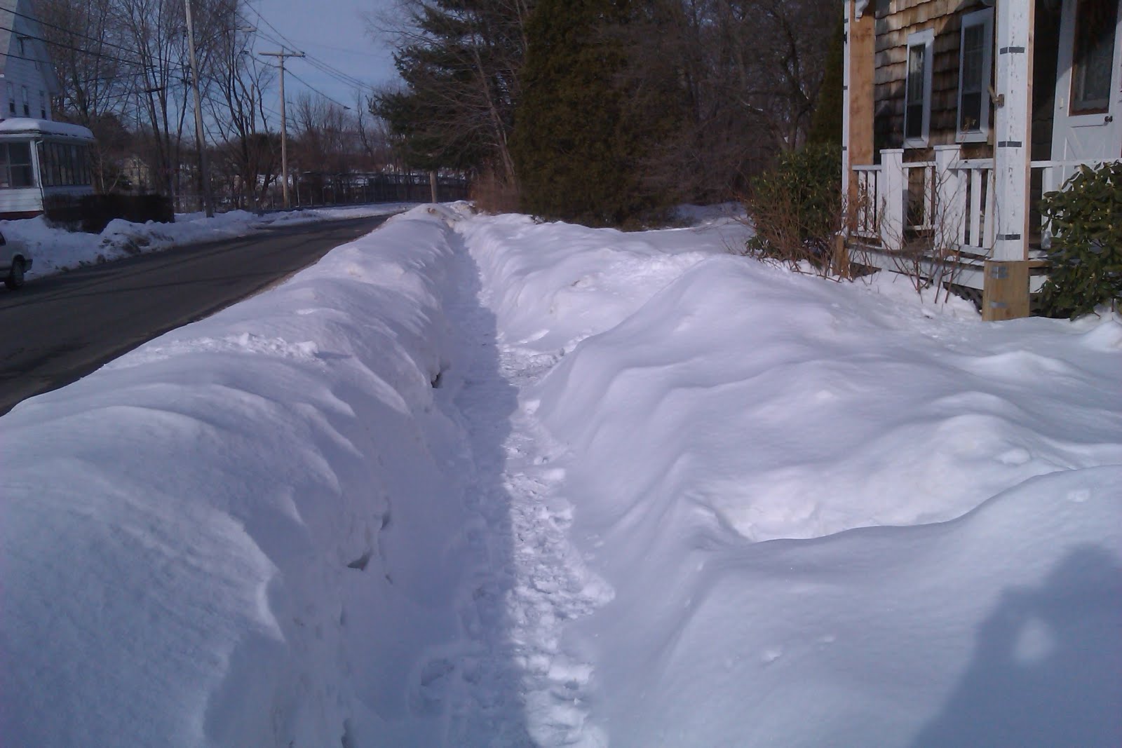 Hawkins House: Epic Snow Storm of January 11-12, 2011